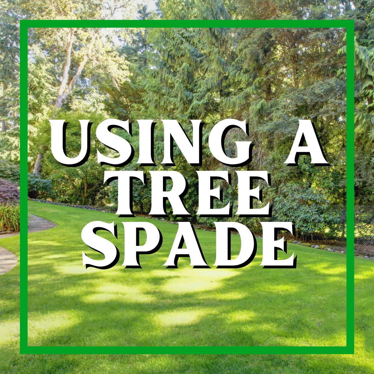 Using a Tree Spade to Preserve Your Favorite Tree | Miller's Tree Service